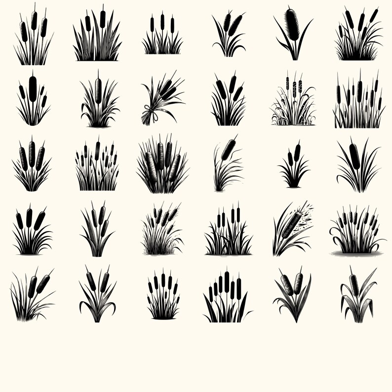 Cattail Svg Bundle, Cattail Vector, Cattail Silhouette, Cattail Svg PNG ...