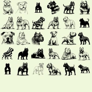 American Bully Svg Bundle, American Bully Puppy Vector, the American ...