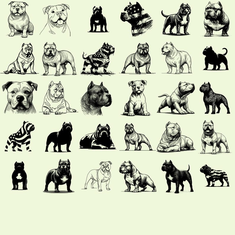 American Bully Svg Bundle, American Bully Puppy Vector, the American ...