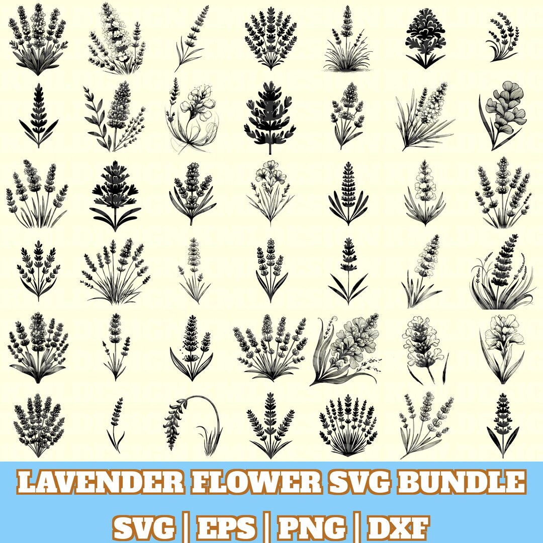 Lavender Flower Svg Bundle, Lavender Flower Vector, Lavender Flower ...