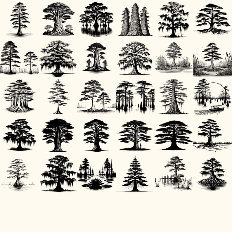 Bald Cypress Tree Svg Bundle, Bald Cypress Tree Vector Silhouette, Bald ...
