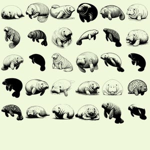 Manatee Svg Bundle, Manatee Vector, Manatee Silhouette, Manatee Svg PNG ...