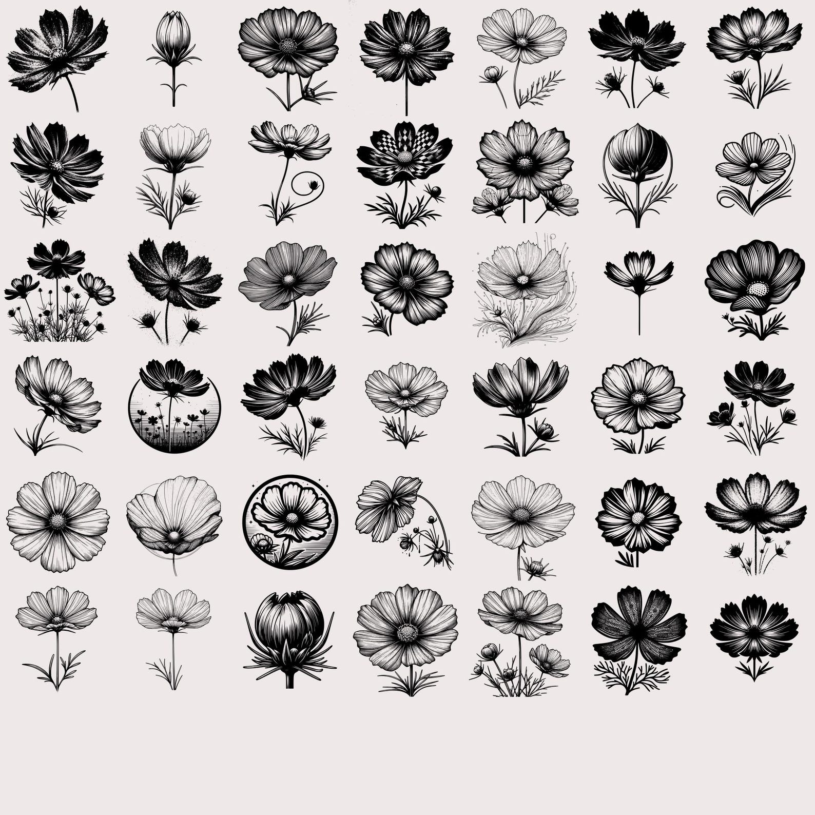 Cosmos Flower Svg Bundle, Cosmos Flower Vector, Cosmos Flower ...