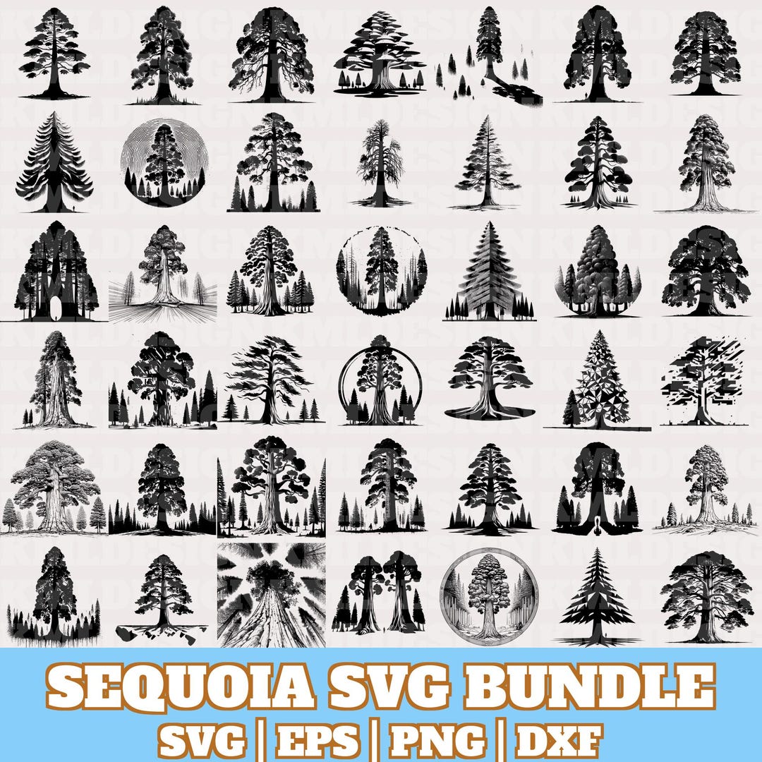 Sequoia Tree Svg Bundle, Giant Sequoia Tree Vector, Sequoia Tree ...