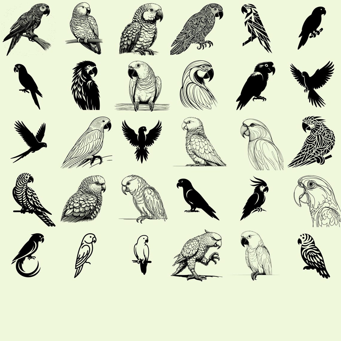 Parrot Svg Bundle, Parrot Vector, Parrot Silhouette, Parrot Svg PNG Eps ...