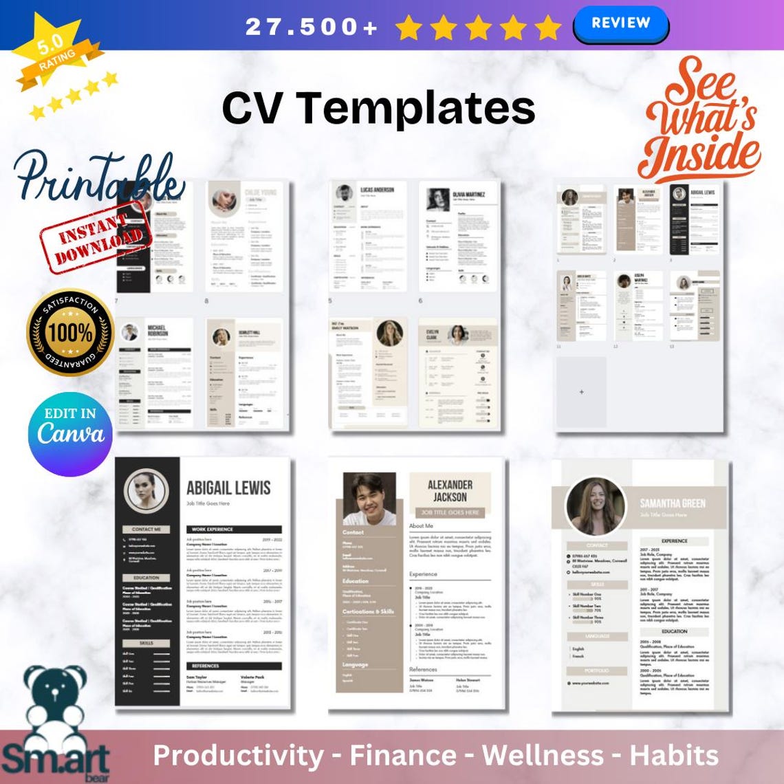 Editable CV Template for Canva | Customizable Resume for New Employment ...