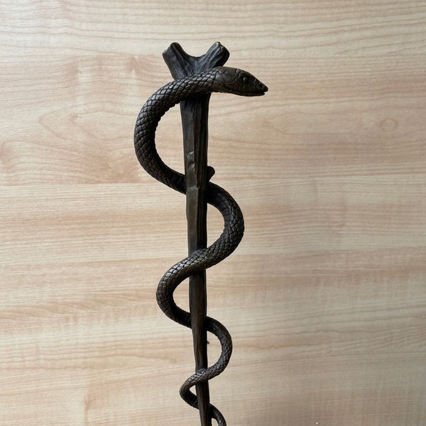 Snake Medicine - Etsy