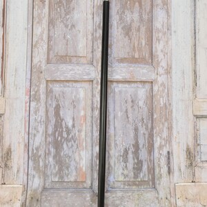 Classic Elegant Walking Stick Dolphin Aluminum and Wooden Walking Stick ...