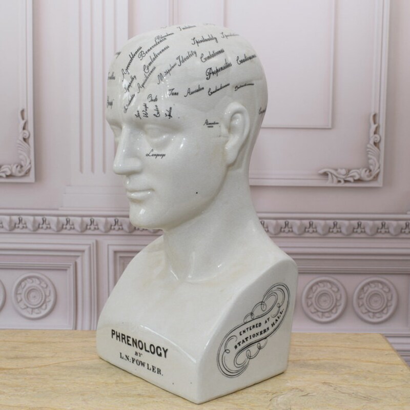 Phrenology Head - Etsy