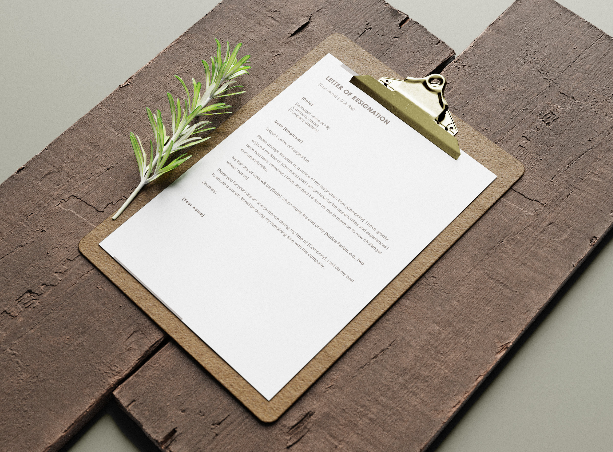 Professional Resignation Letter Template | Google Docs | Microsoft Word ...