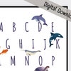 ABC Poster | Alphabet Poster | ABC Printable | Homeschool Resource ...
