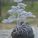 Aluminum Tree Wire Mini Tree Sculpture, Handmade Artwork - Etsy
