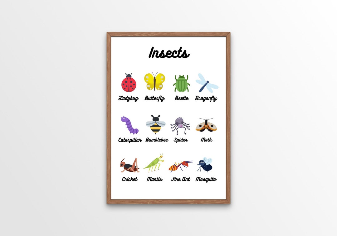 Insects Digital Printout - Nursery/homeschooling/montessori - 6 JPEG ...