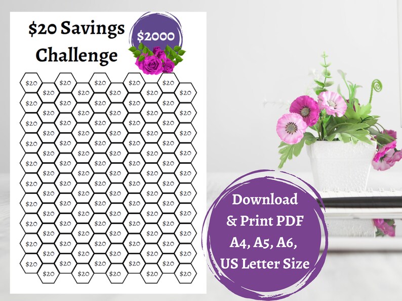 Mini Savings Challenge, Save2000, Low Income Savings Challenge, 20 ...