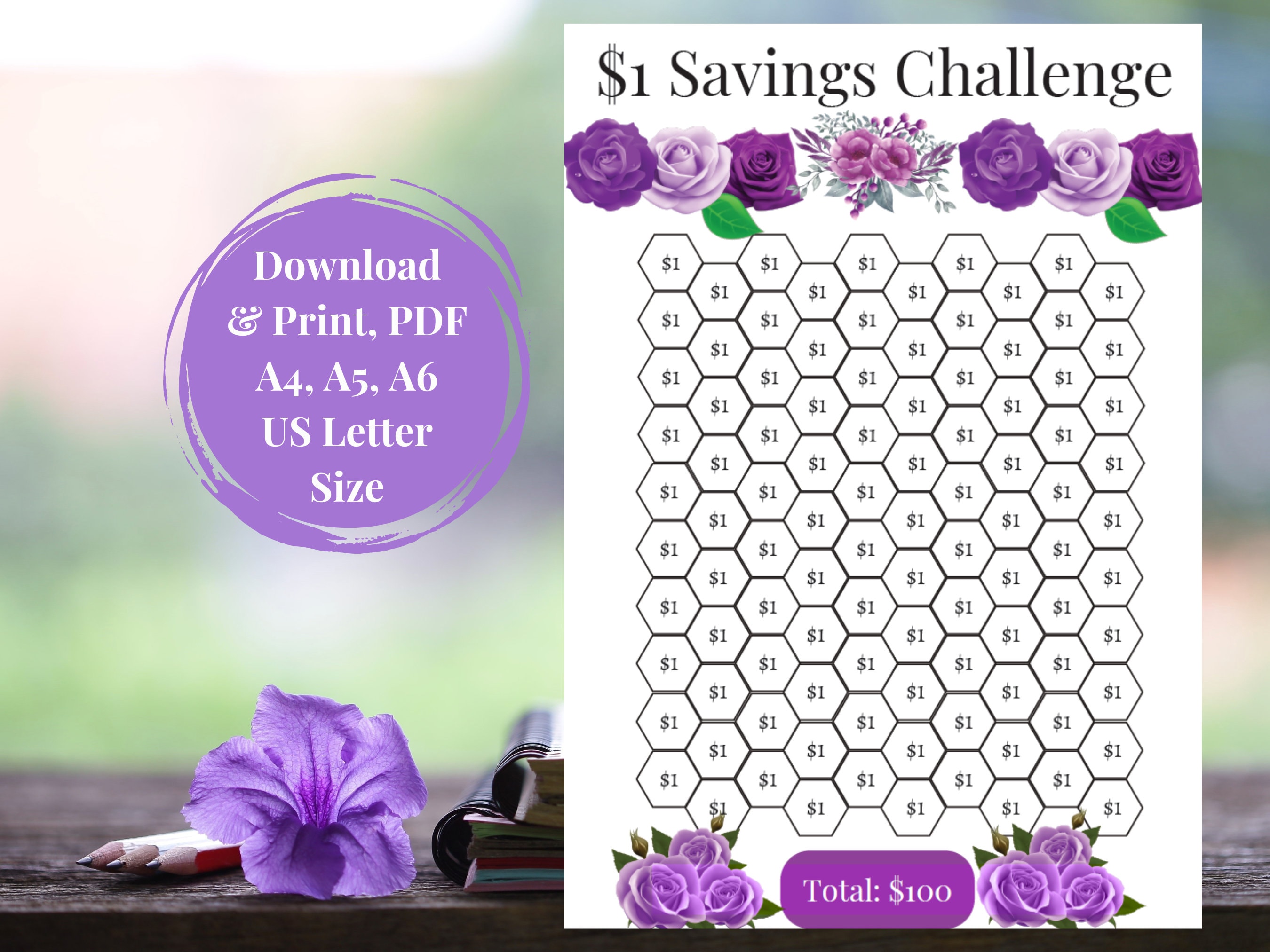 Mini Savings Challenge, 1 Dollar Challenge, Low Income Savings ...