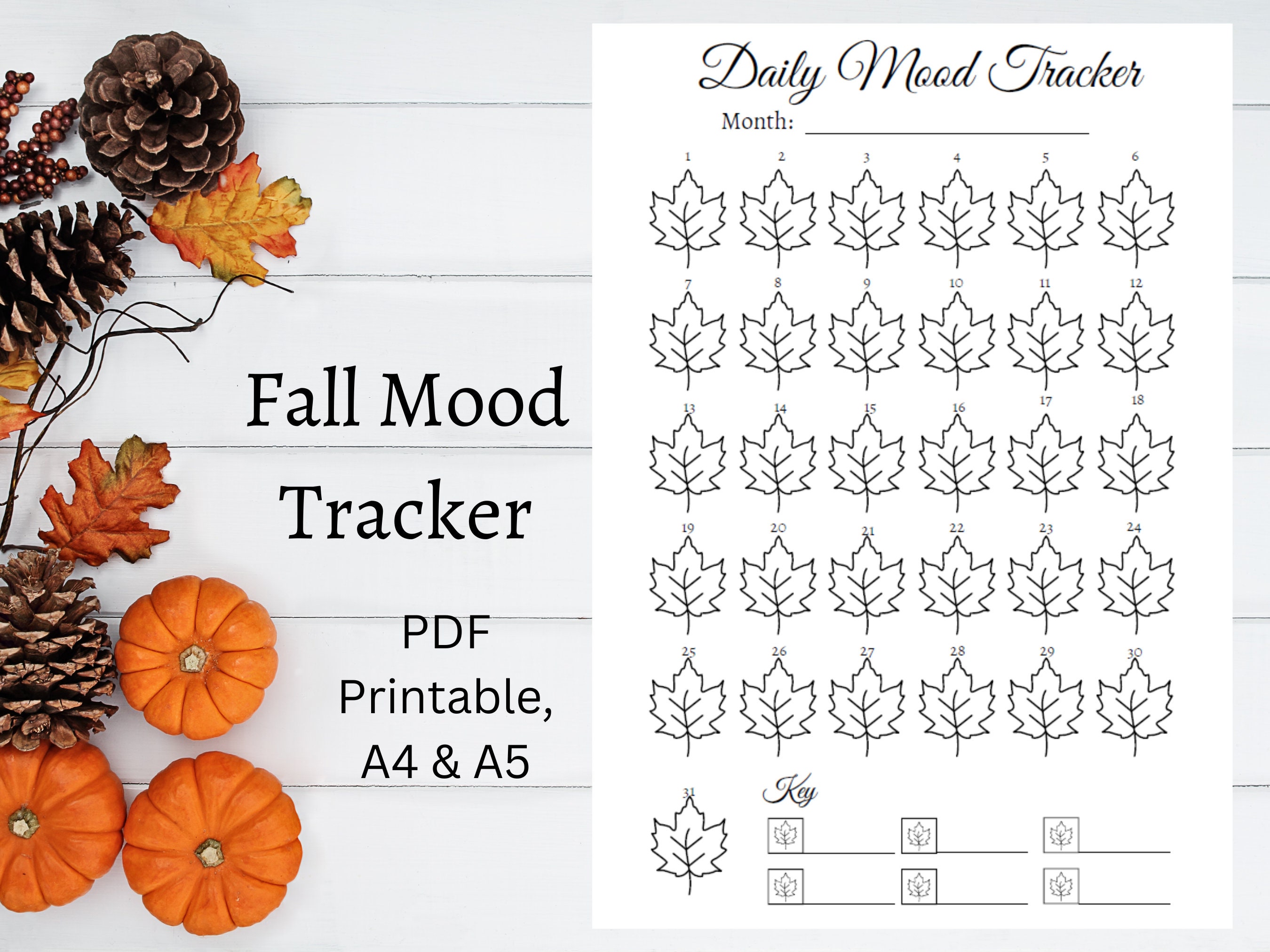 Mental Health Tracker, Daily Mood Tracker, Self Care, Gratitude Journal ...