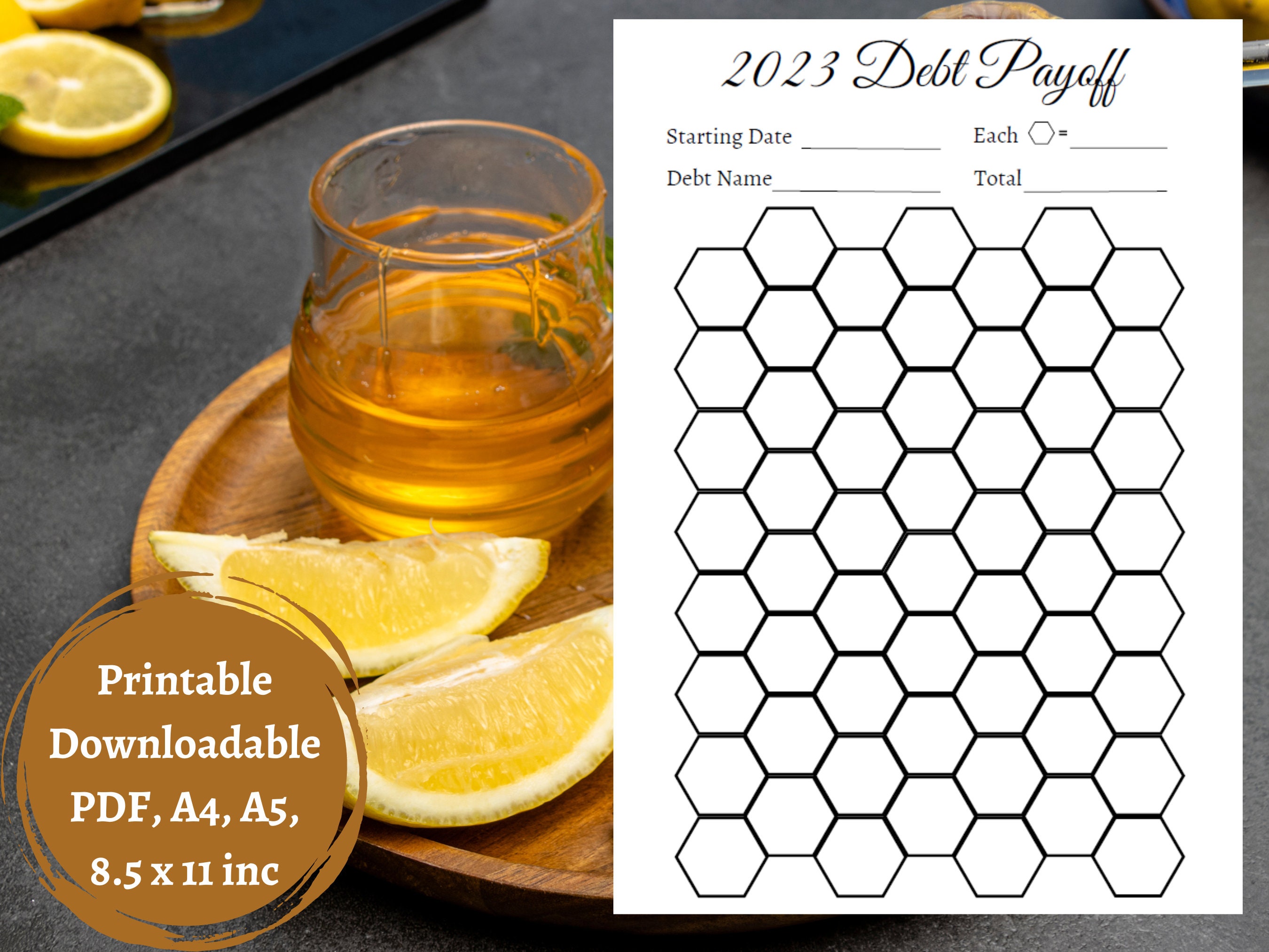 Debt Payoff, Debt Tracker, Student Loans Payoff,credit Payoff, Finance ...