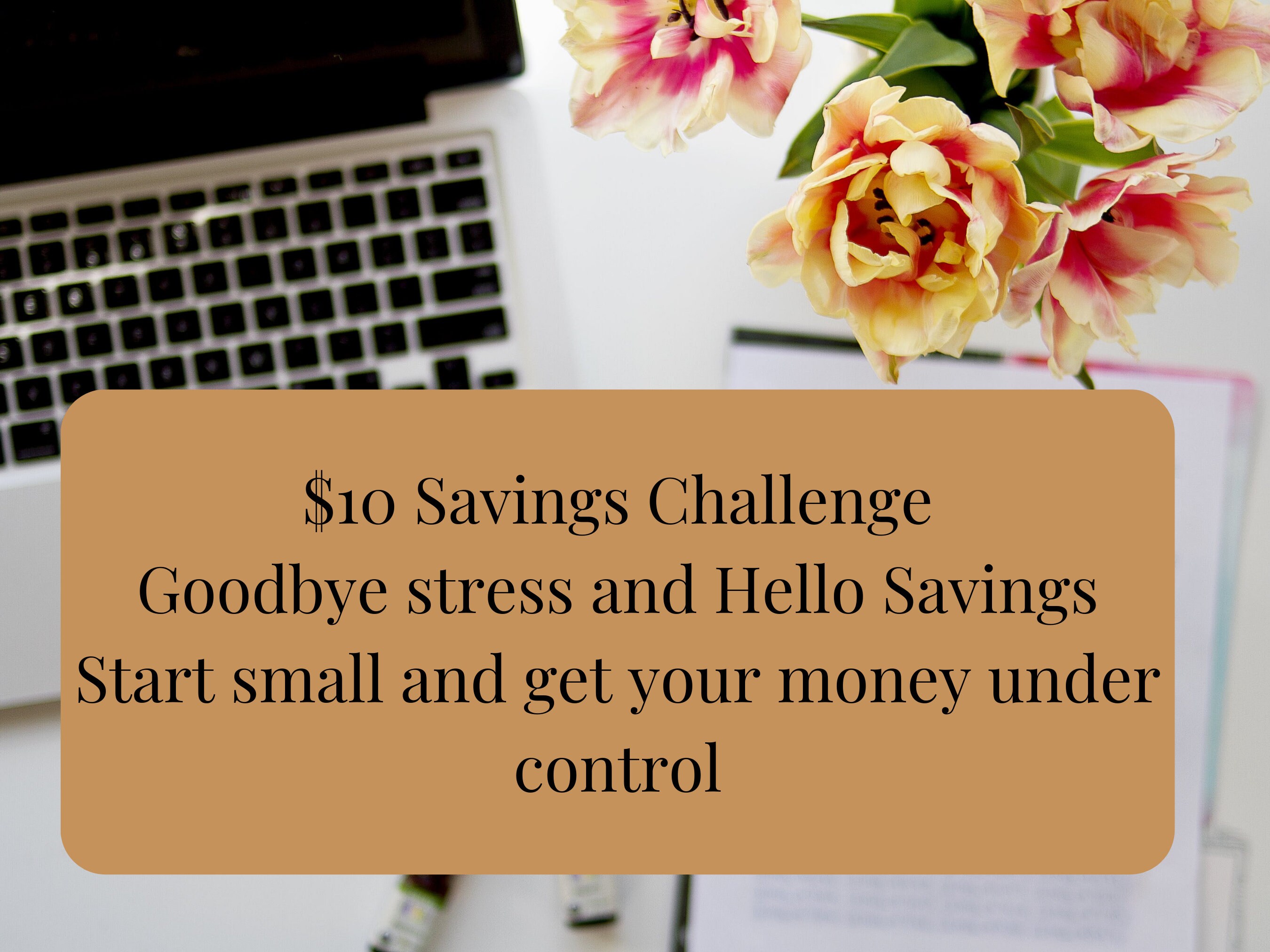 Mini Savings Challenge, Low Income Savings Challenge, 10 Dollar Fridays ...