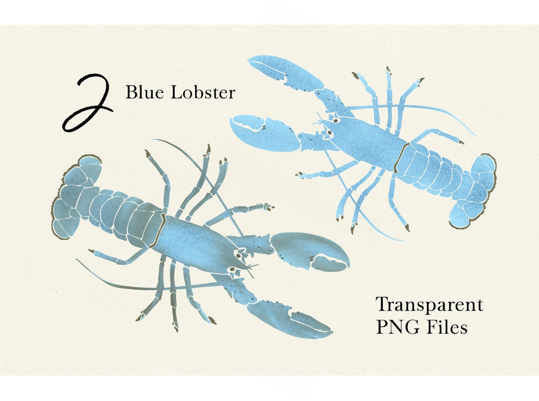 Blues Lobster Graphics | Blue Lobster PNG | Lobster PNG | Lobster Clip ...