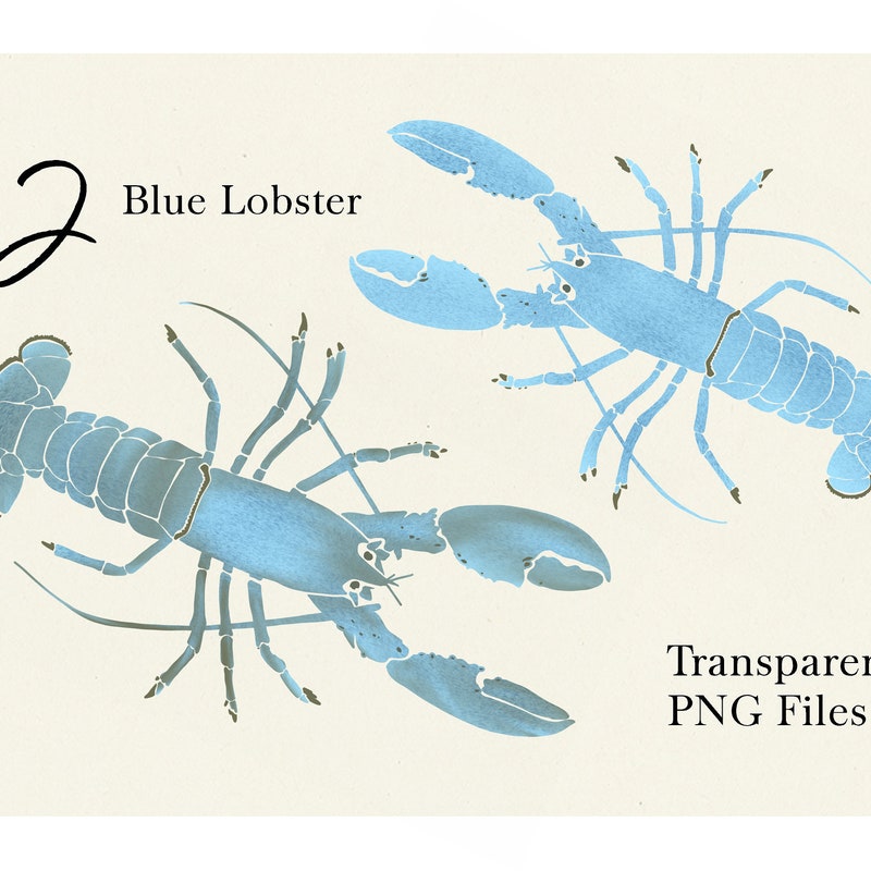Blue Lobster - Etsy