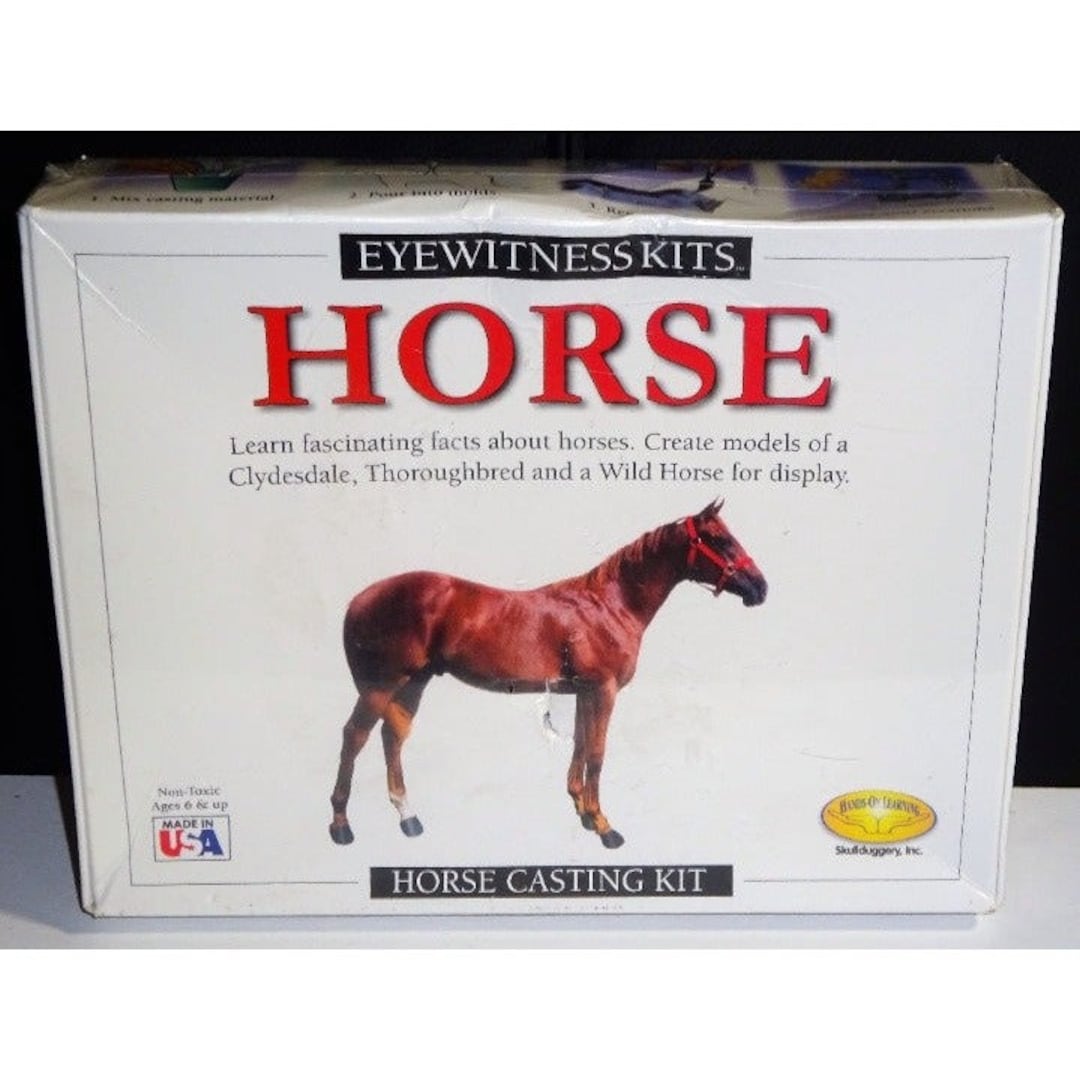 Eyewitness Clydesdale Thoroughbred Horse Casting Kit Arts & Crafts ...