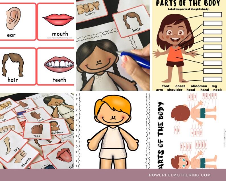 Body Part Recognition Activity Pack Activities for Preschoolers ...