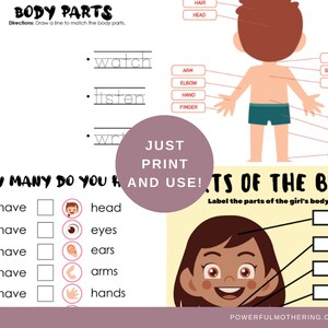 Body Part Recognition Activity Pack Activities for Preschoolers ...