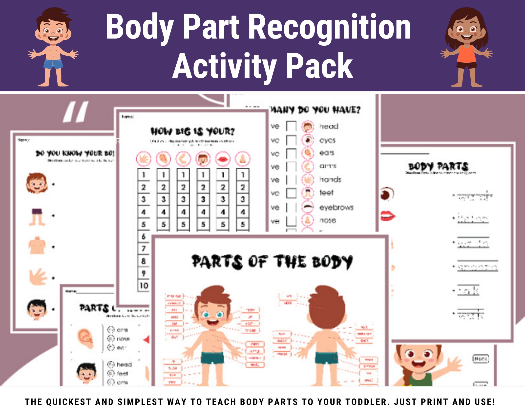 Body Part Recognition Activity Pack Activities for Preschoolers ...