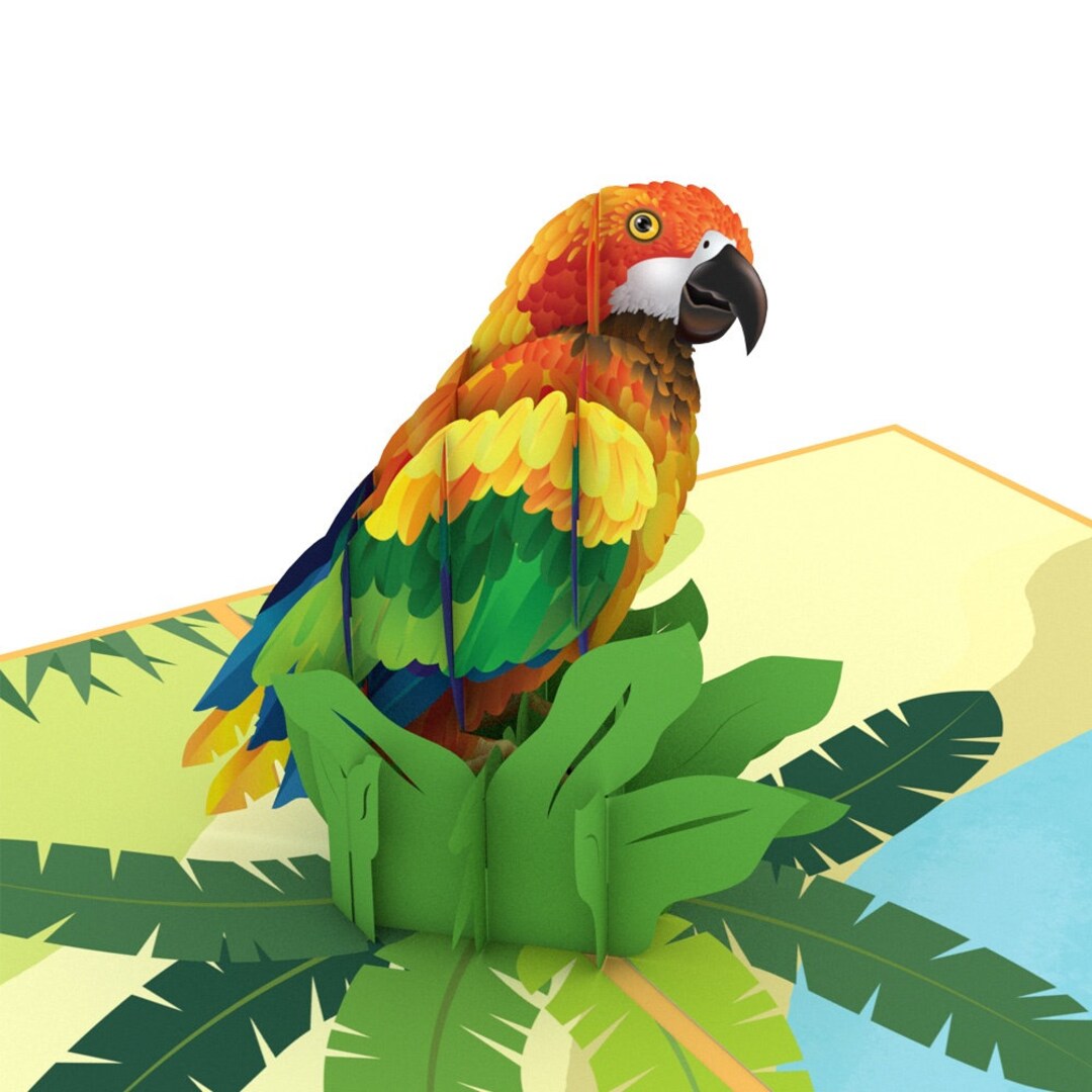 Pop up Card 3D Tropical Parrot Gift 15 X 20 Cm - Etsy