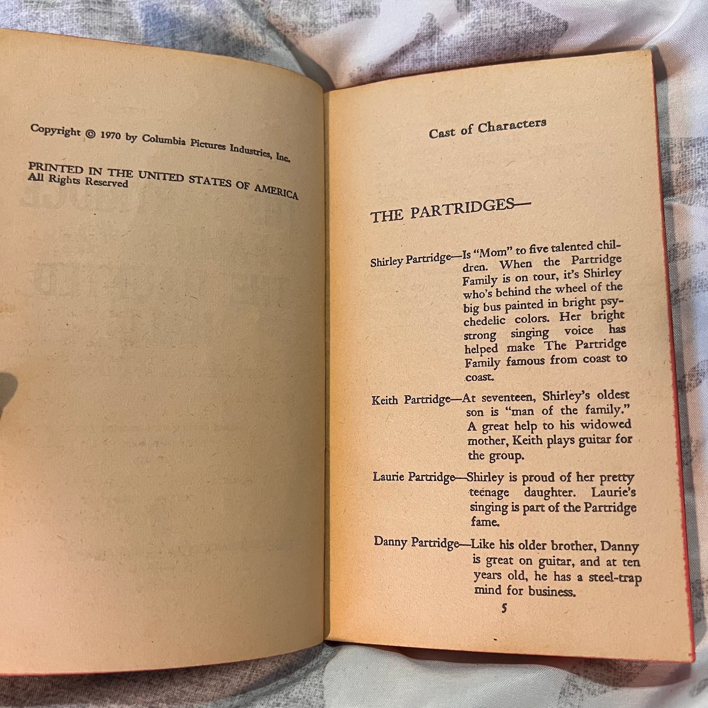 The Partridge Family 2: the Haunted Hall by Michael Avallone 1970 ...