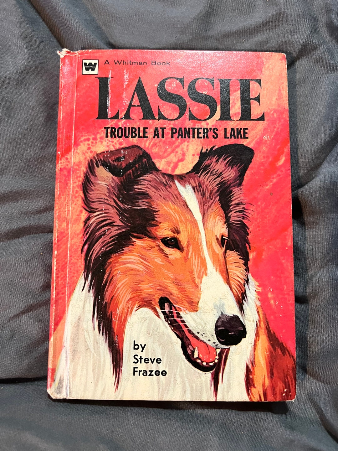 Lassie Trouble at Panters Lake Steve Frazee Whitman - Etsy