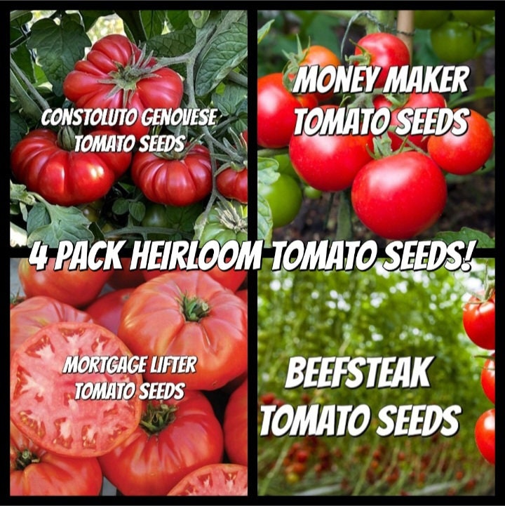 4 Pack Heirloom Tomato Seeds - Etsy