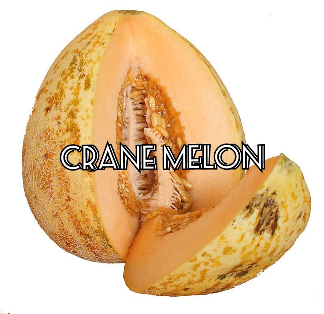 Crane Melon Seeds - Etsy