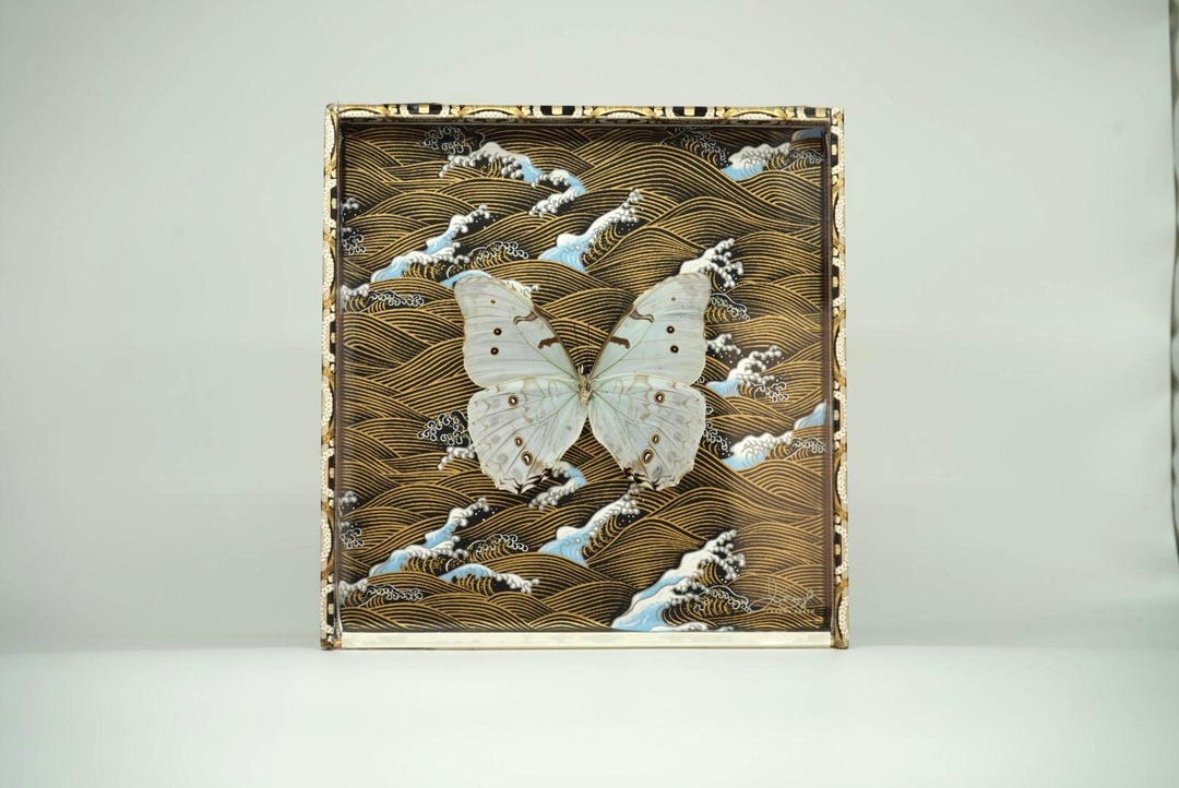 White Morpho and Golden Wave Shadow Box | Butterflies by the Sea - Etsy