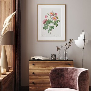 Vintage Rose Poster, Pink Botanical Print Digital Download, Kitchen ...