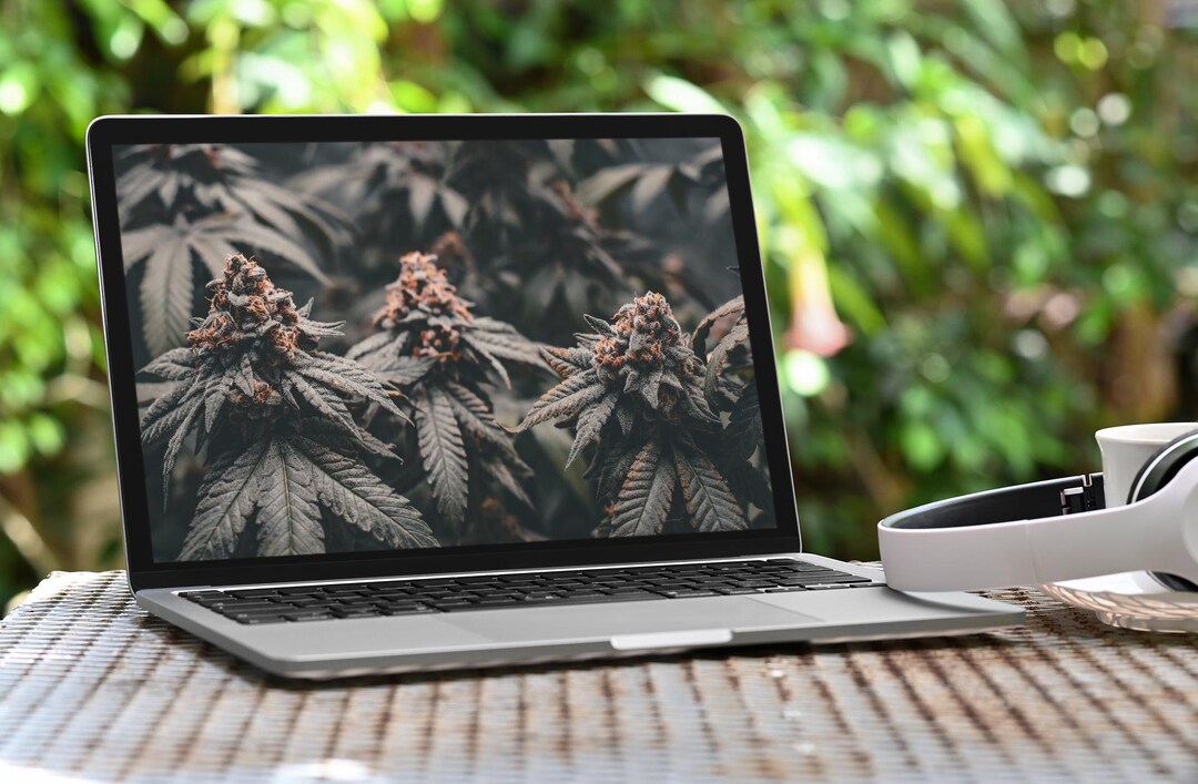 420 Photography Digital Download High Quality Background Original ...