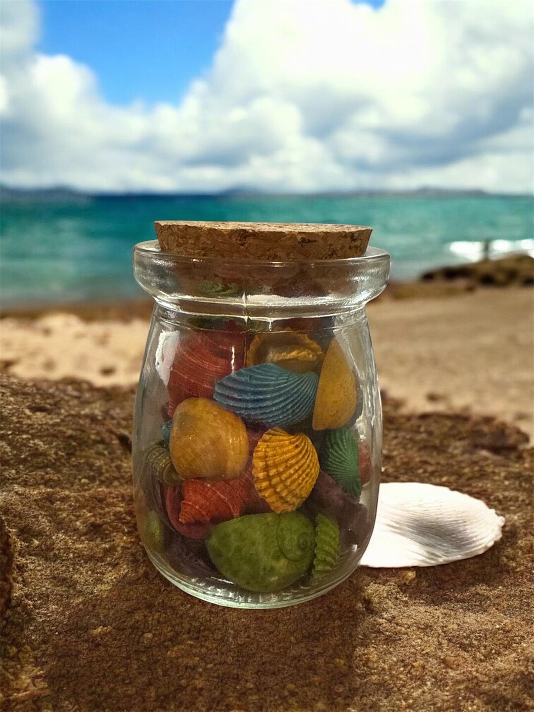 Colorful Shells in Small Jar - Etsy