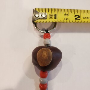 Ohio State Buckeye Keychains. Handmade! Real Buckeyes & Pony Beads ...