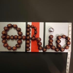 Handmade Script Ohio State Wall Hanging With Real Buckeyes - Etsy