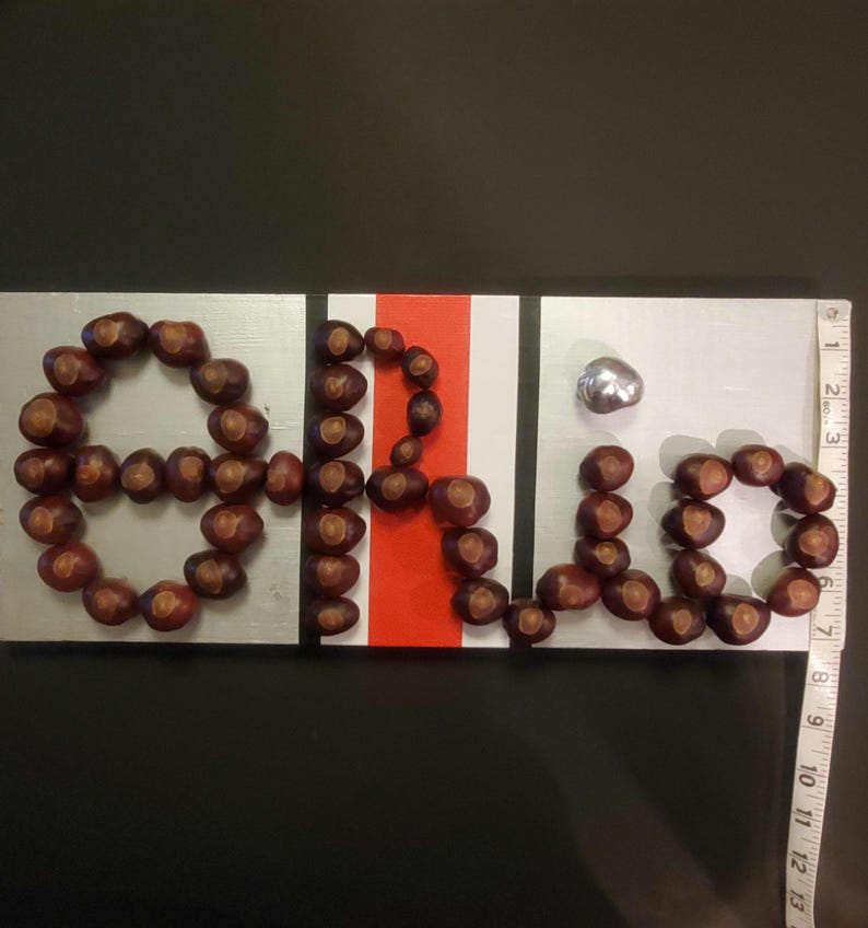 Handmade Script Ohio State Wall Hanging With Real Buckeyes - Etsy