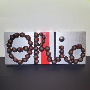 Handmade Script Ohio State Wall Hanging With Real Buckeyes - Etsy