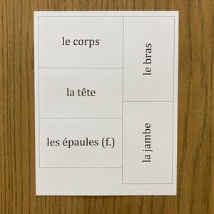 Body Parts French/english Flashcards Double-sided 30 Cards Pack 8 - Etsy