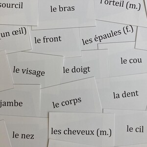 Body Parts French/english Flashcards Double-sided 30 Cards Pack 8 - Etsy