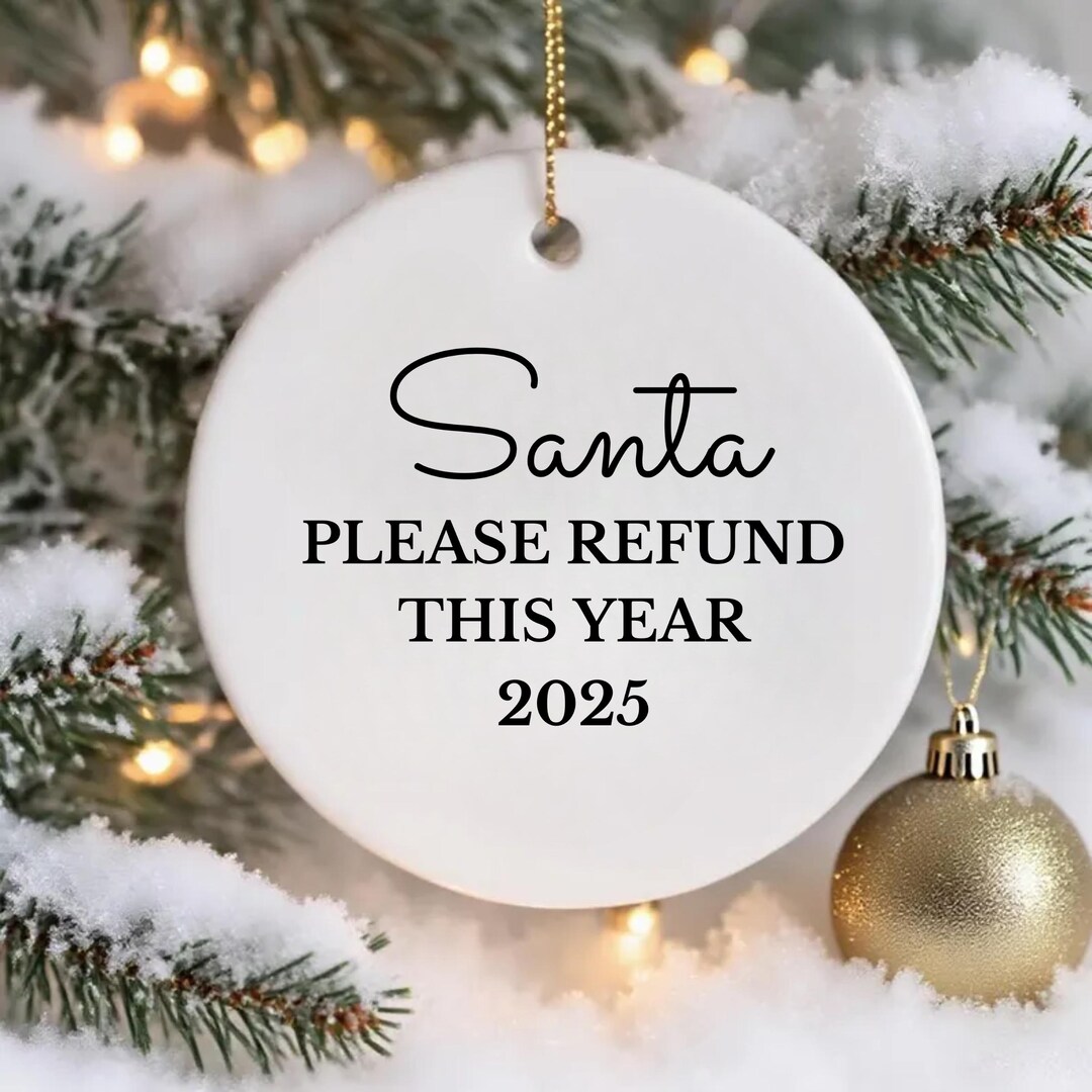 Funny 2025 Year in Review Christmas Ornament: Humorous Stocking Stuffer ...