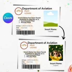 Airline Pilot License Template, Airplane Birthday Party Decorations and ...