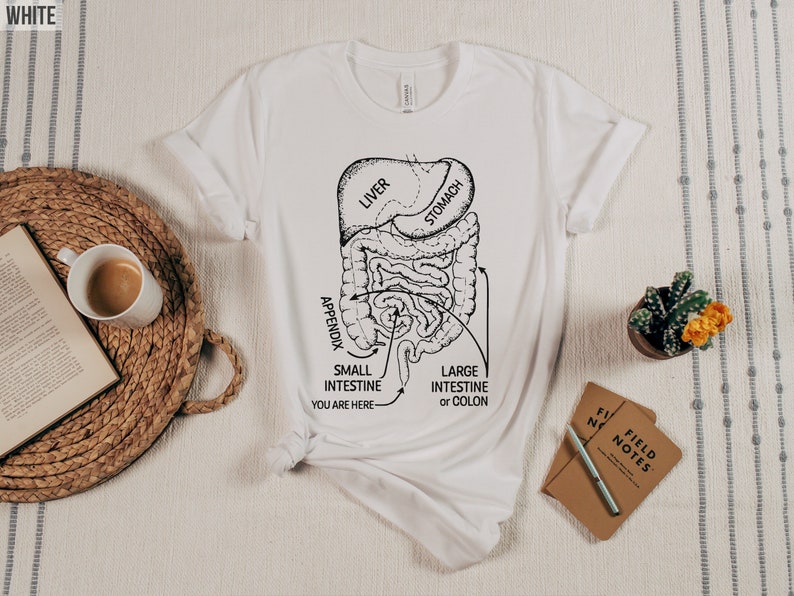 Funny You Are Here Anatomy Shirt, Intestinal Anatomy Shirt, Vintage ...