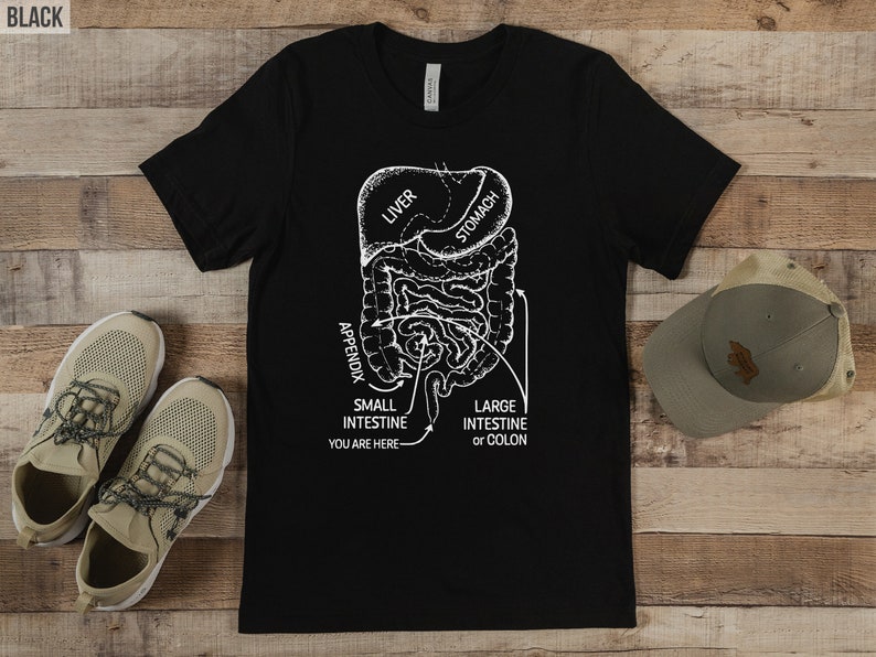 Funny You Are Here Anatomy Shirt, Intestinal Anatomy Shirt, Vintage ...
