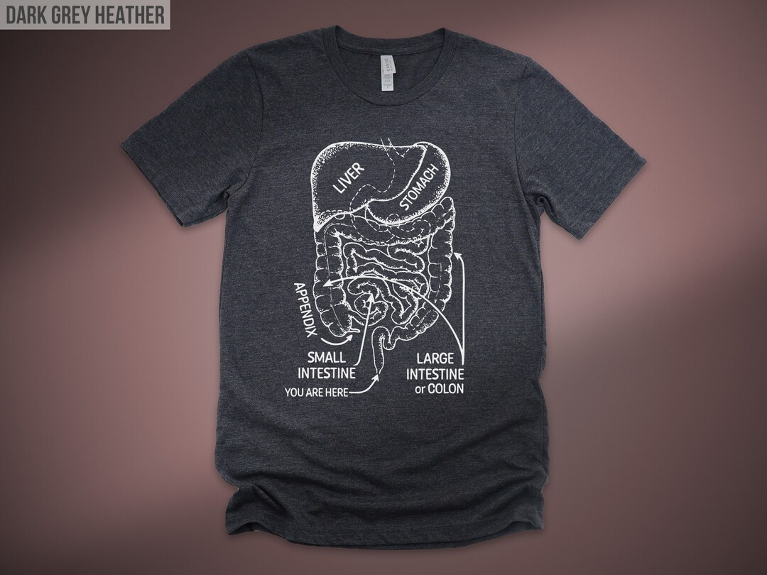 Funny You Are Here Anatomy Shirt, Intestinal Anatomy Shirt, Vintage ...