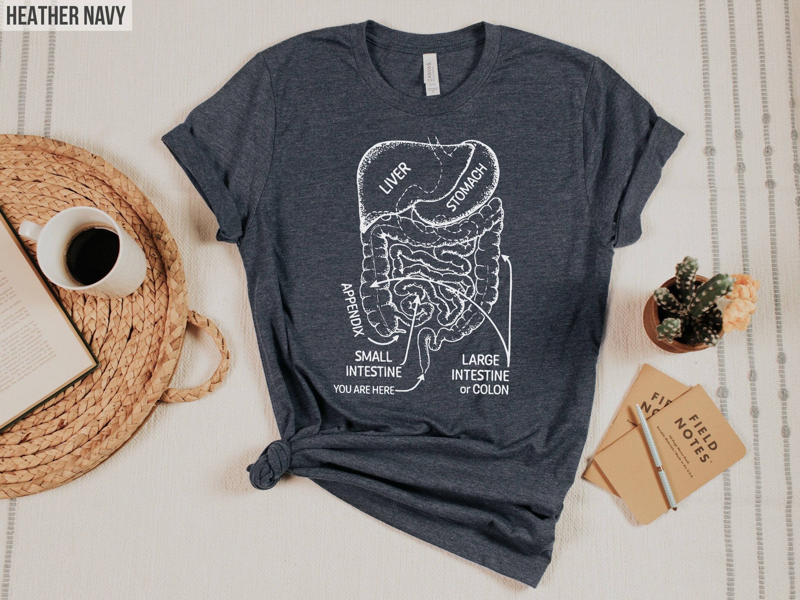 Funny You Are Here Anatomy Shirt, Intestinal Anatomy Shirt, Vintage ...