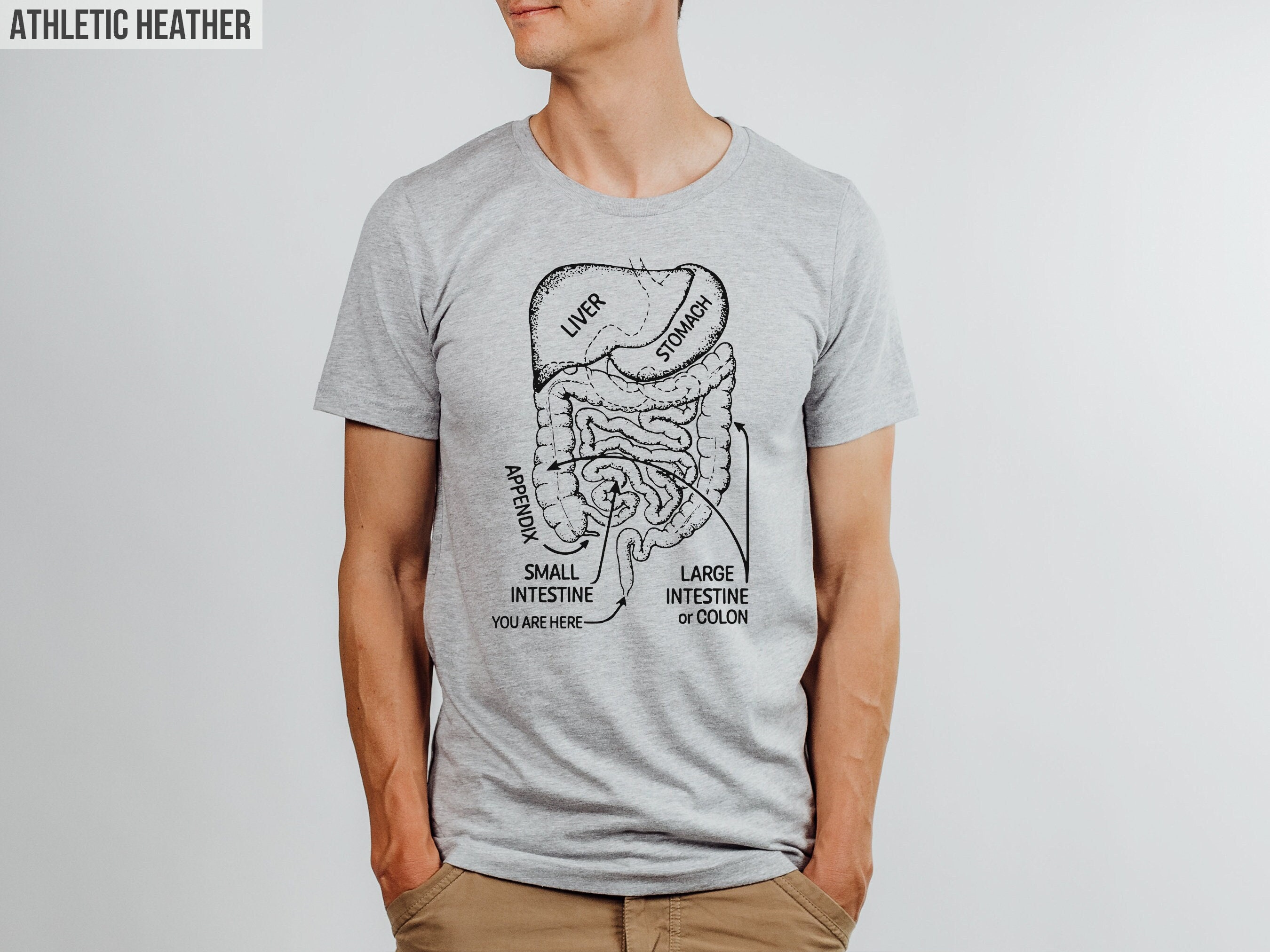 Funny You Are Here Anatomy Shirt, Intestinal Anatomy Shirt, Vintage ...